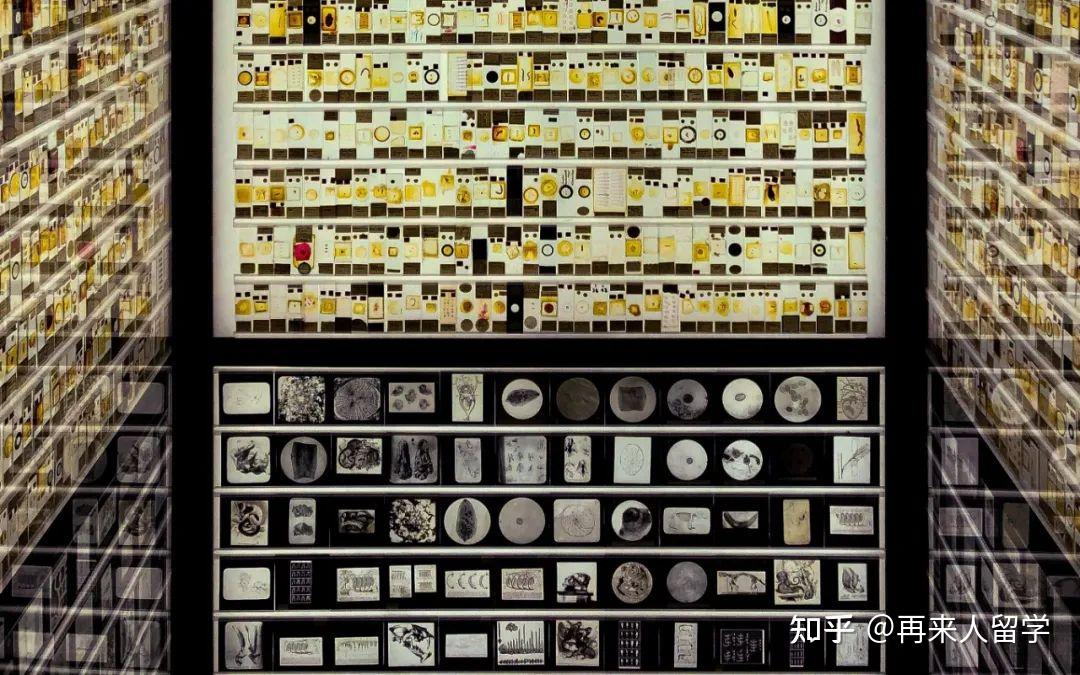 火热！“G5”UCL offer来啦！成功圆梦！申请季完美收官！ - 知乎