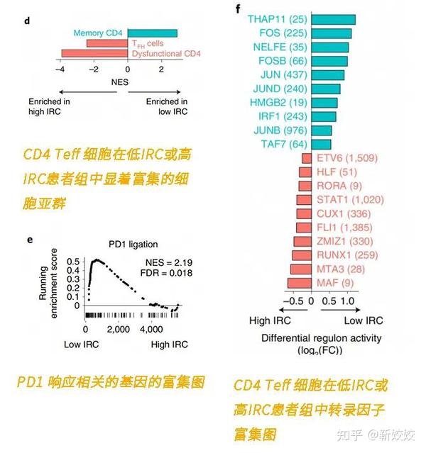 10x单细胞多组学技术揭开I型干扰素与PD1阻断疗法之间的爱恨情仇 - 知乎