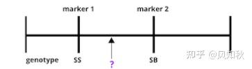 R/qtl2：QTL 定位分析流程 - 知乎