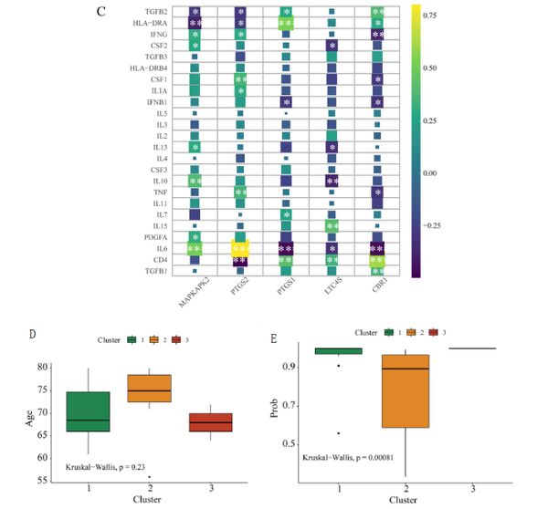 6分+纯生信！bulk RNA-seq和单细胞联合分析，外加代谢新切入点“花生四烯酸代谢”！助力发文的巧妙思路，值得借鉴~ - 知乎