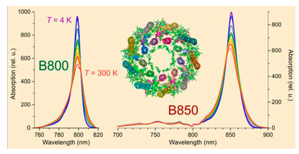 有谁知道sci投稿，文章前面的TOC图去哪里找素材去画呢？ - 知乎