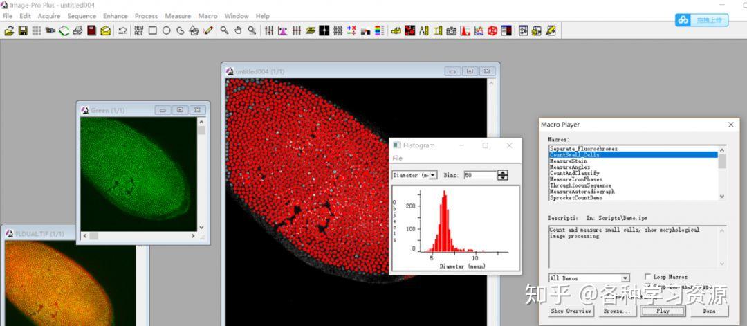 顶级图像处理软件 | Image-Pro Plus 6.0 - 知乎
