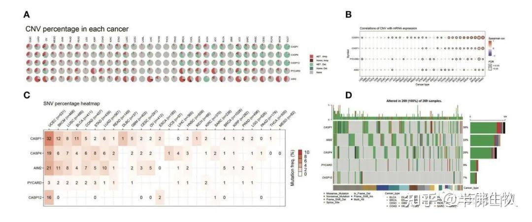 8+AIM2炎症小体基因集泛癌分析，模板文章快来学习！ - 知乎