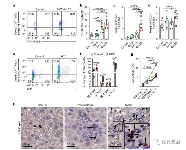 Nat Cancer | 多伦多大学华人学者揭示胆碱能T细胞在癌症免疫中不被重视的作用 - 知乎