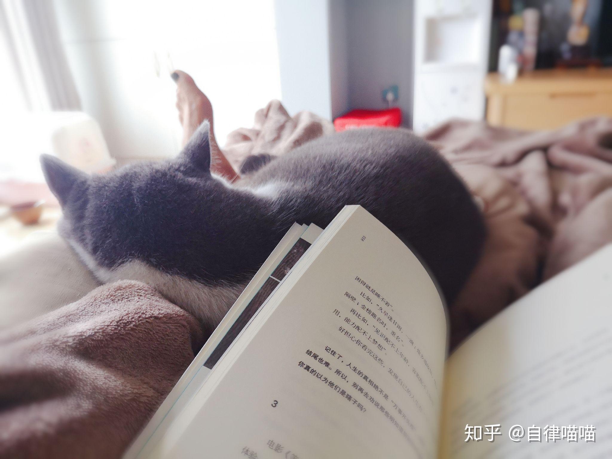 好看的皮囊千篇一律,有趣的灵魂万里挑一 知乎