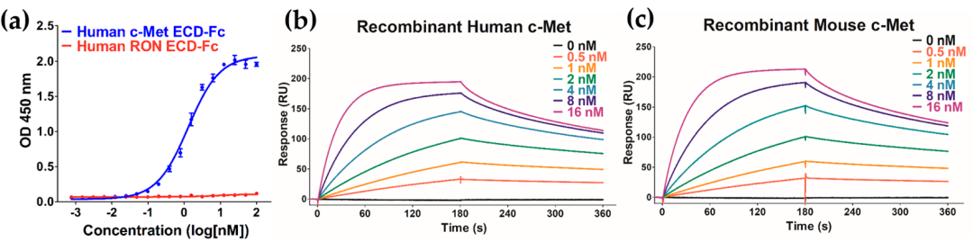 【靶点科普】c-Met：靶向疗法研究进展 - 知乎