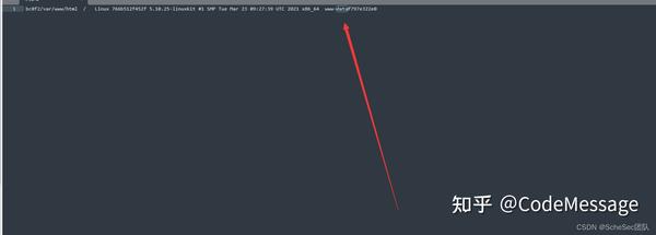网络安全CTF流量分析-入门3-Webshell连接流量分析 - 知乎