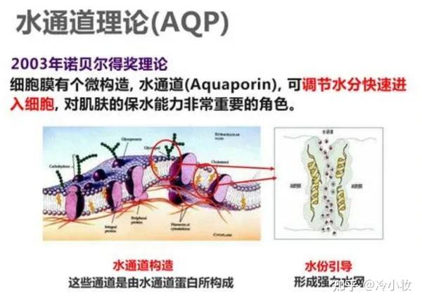皮肤护理需要了解的几个小知识 - 知乎