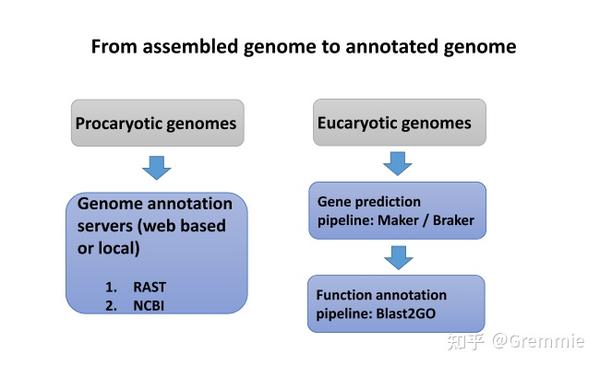 从头全基因组组装De novo whole genome assembly - 知乎