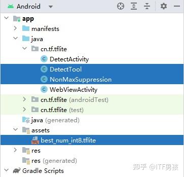 详细拆解YOLO的导出原理，以tflite格式为例实现Android端的调用 - 知乎