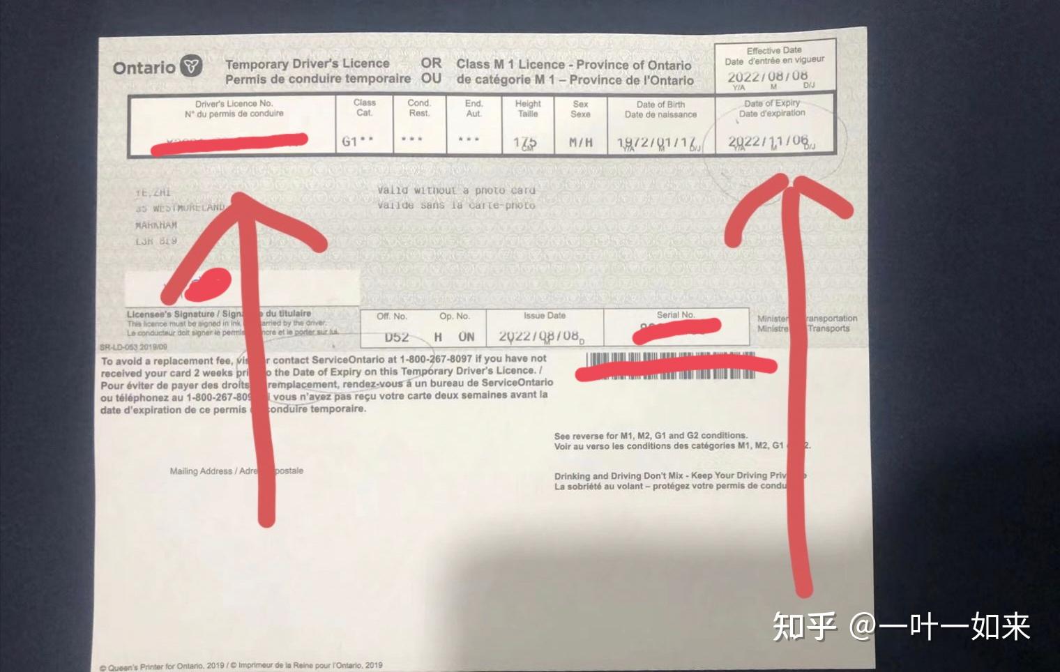 持中国驾驶证在加拿大安大略省G1笔试跳G牌考试分享 - 知乎
