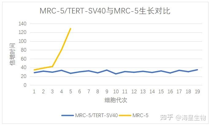 【海星第三代功能验证细胞库】MRC-5永生化双引擎细胞-传代超20代 - 知乎