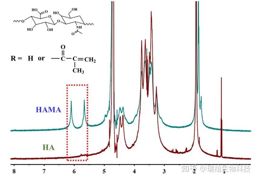 甲基丙烯酰化透明质酸（HAMA） 光固化水凝胶研究 - 知乎