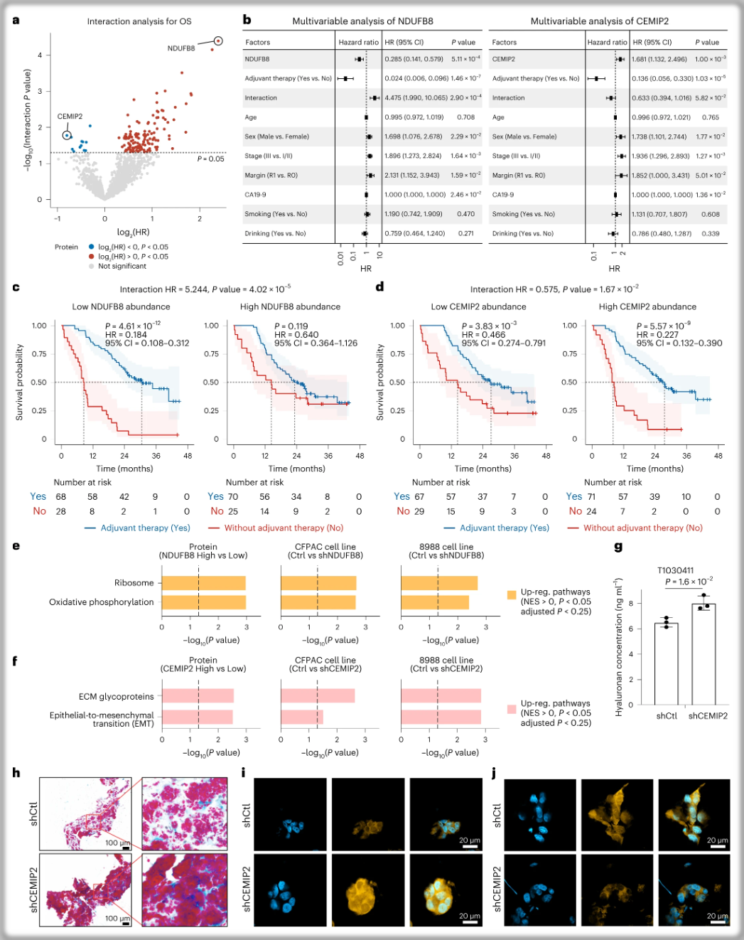 顶刊精读 | 提供原始数据和代码，整合了临床和蛋白质组数据的胰腺癌生物标志物研究 - 知乎