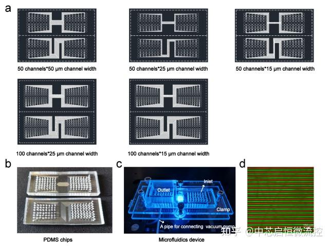 高灵敏、高分辨的空间转录组学测序新技术Decoder-seq - 知乎