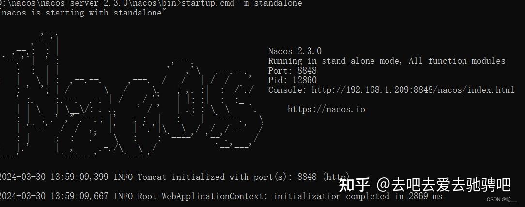 Nacos简介和小实践 - 知乎