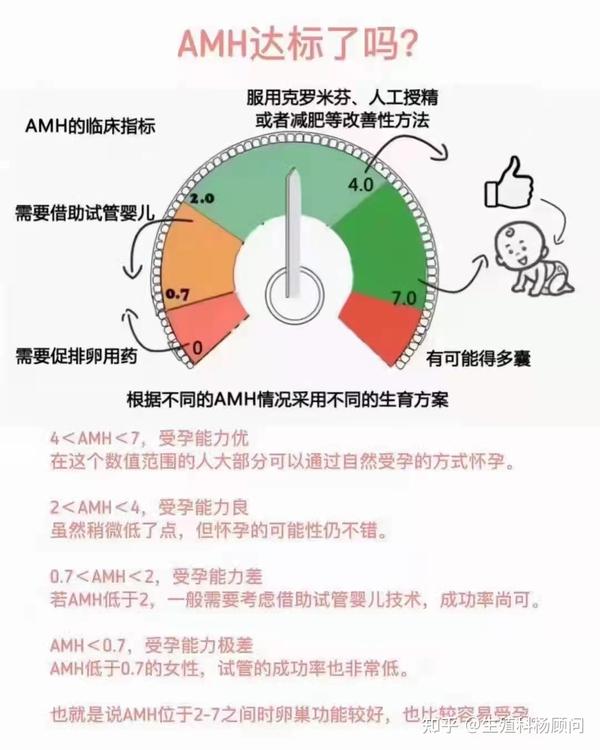 AMH达标了吗？ - 知乎