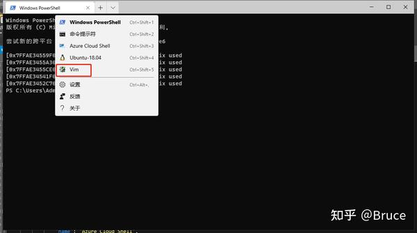 Windows Terminal集成vim编辑器 - 知乎