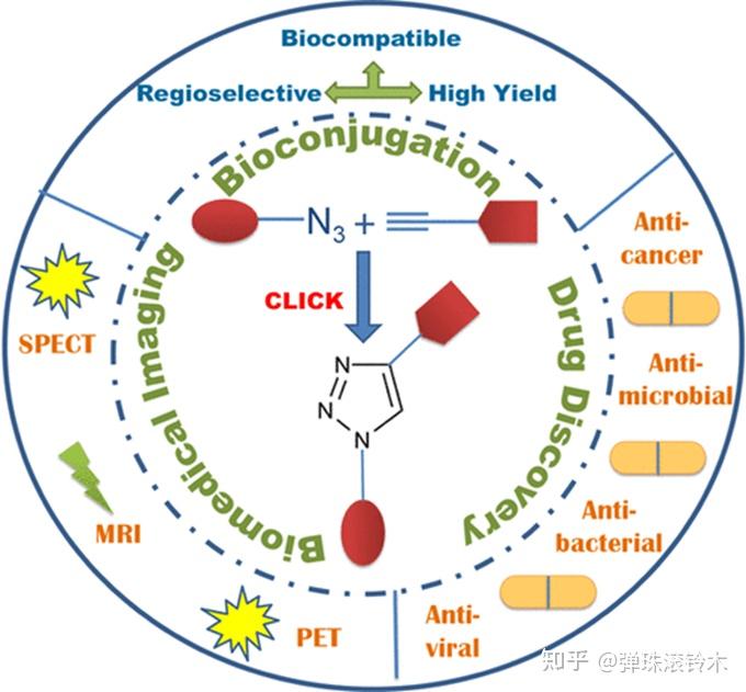 Click chemistry-Synaffix-ADC - 知乎
