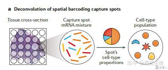 nature 综述：单细胞和空间组的数据整合方法 - 知乎