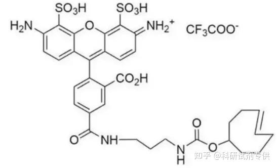 AF488 反式环辛烯，可以在细胞内对目标蛋白质进行荧光标记 - 知乎
