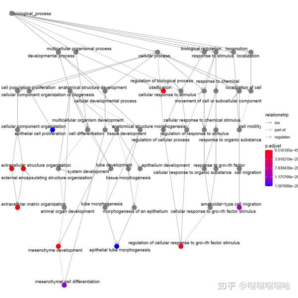 RNA-seq入门实战（六）：GO、KEGG富集分析与enrichplot超全可视化攻略 - 知乎