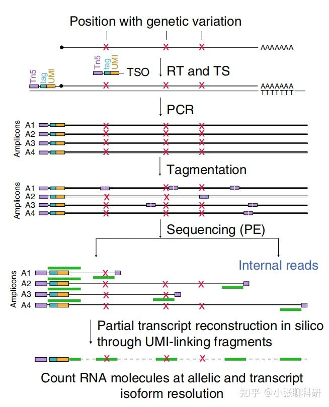 国自然加分新技术之Smart-seq技术 - 知乎