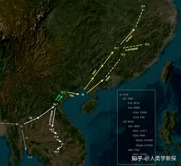 东亚太古大迁徙(3)：独领风骚的O2a - 知乎