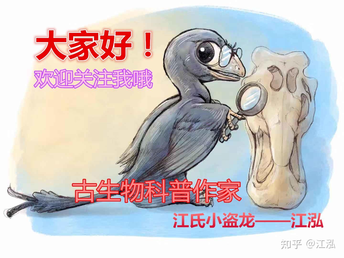 【2020中国恐龙盘点】易门彩云龙（Irisosaurus yimenensis） - 知乎