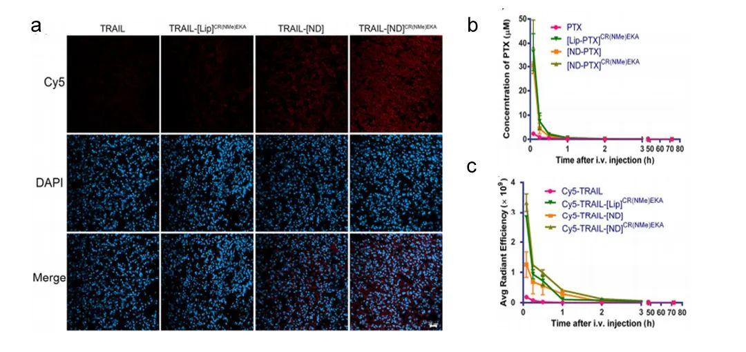 Cyanine 染料 | MedChemExpress - 知乎