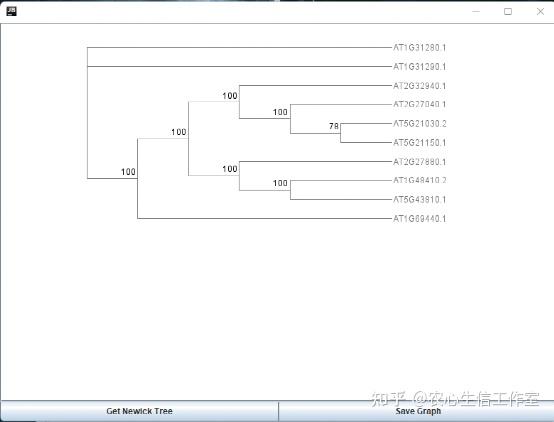 软件教程 | 利用TBtools完成无门槛构建系统发育树的全套流程 - 知乎