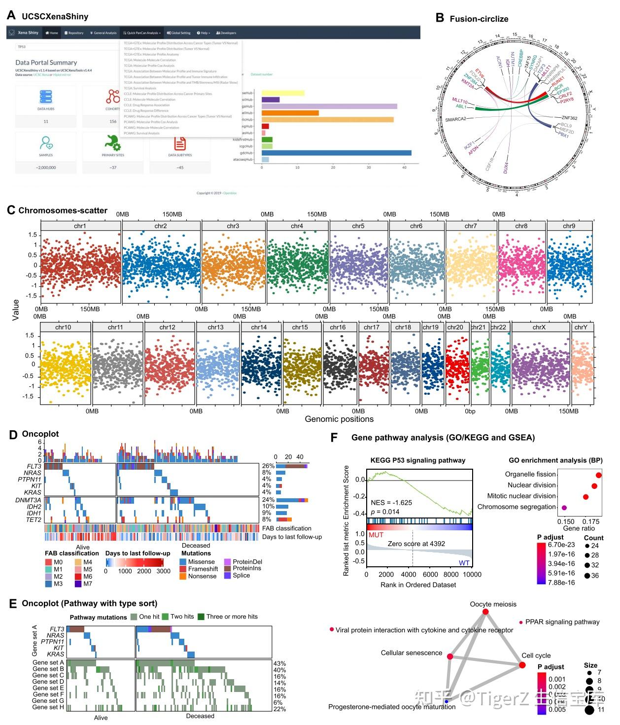 文献阅读 | Briefings in Bioinformatics | Hiplot：全面且易于使用的生物医学可视化分析平台 - 知乎