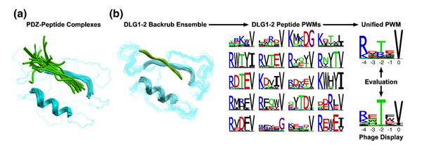 Rosetta Sequence_tolerance: 基于结构生成序列文库 - 知乎