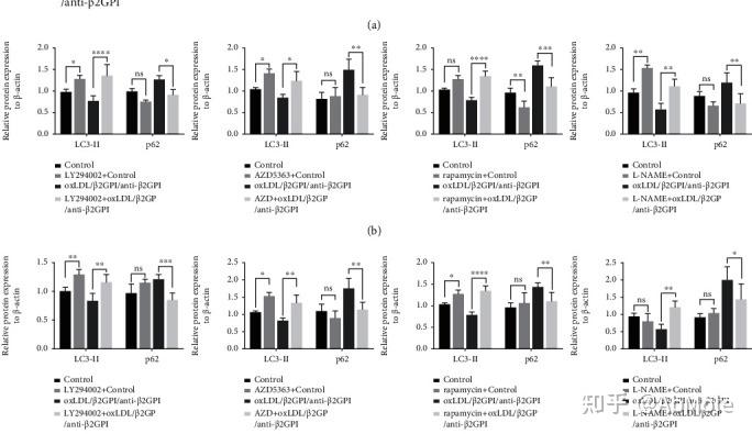 AbMole小课堂丨Capivasertib（AZD5363）：高选择性AKT抑制剂，作用机制及抗肿瘤研究应用 - 知乎