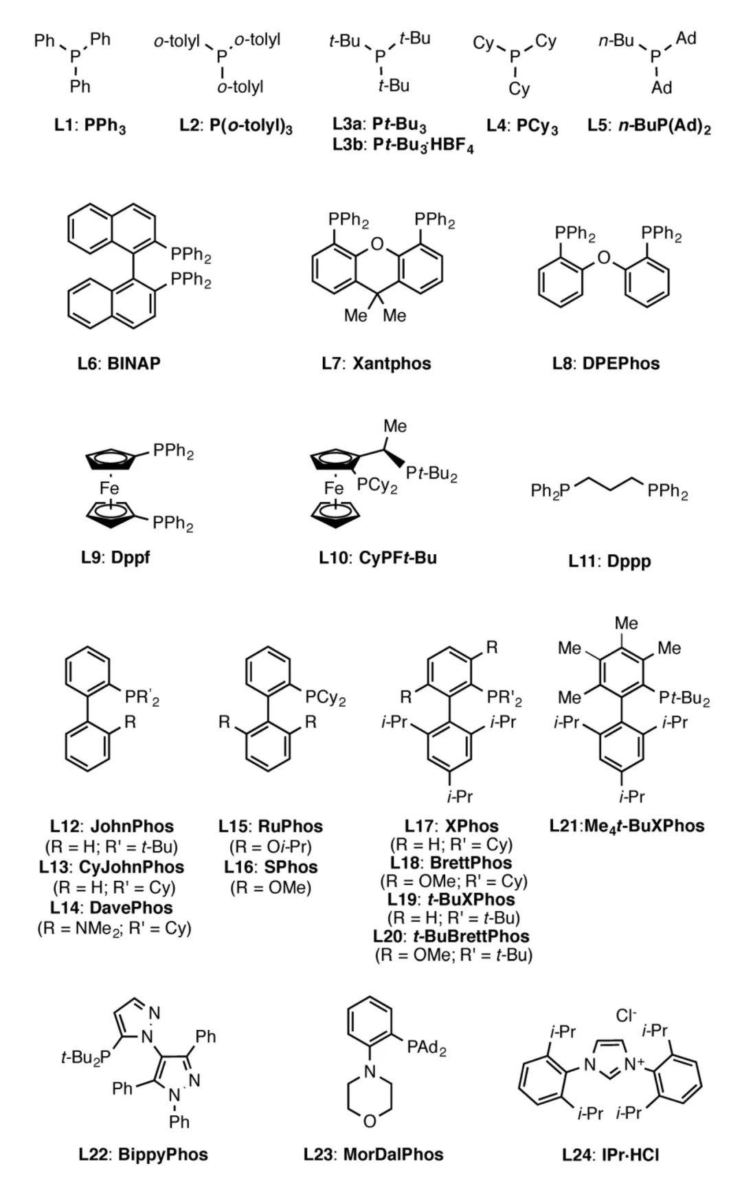 实用有机合成化学 | Pd催化偶联神器：一文了解六代Buchwald预催化剂的前世今生 - 知乎