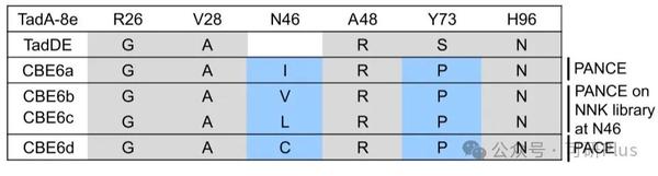 刘如谦新作！这次进化升级了CBE系统！ - 知乎