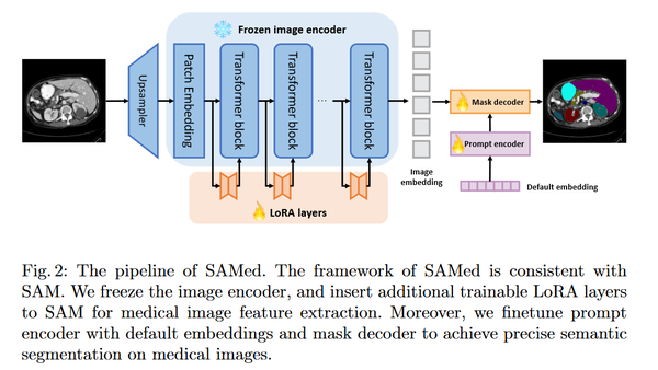 SAM在医学影像中的应用（最新） - 知乎