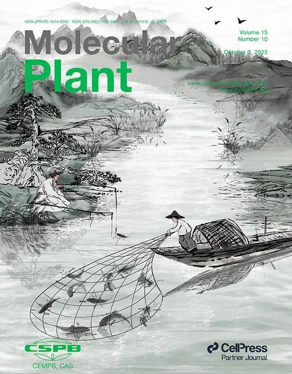 速！带你走进期刊封面的科学与艺术之美！ - 知乎