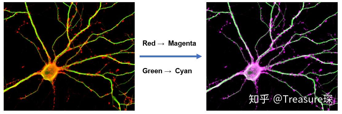 ImageJ实用教程——伪彩与Calibration Bar(基本功能篇) - 知乎