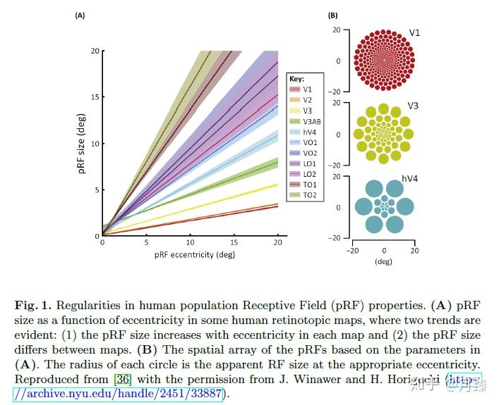 RFB-Net算法解读 - 知乎