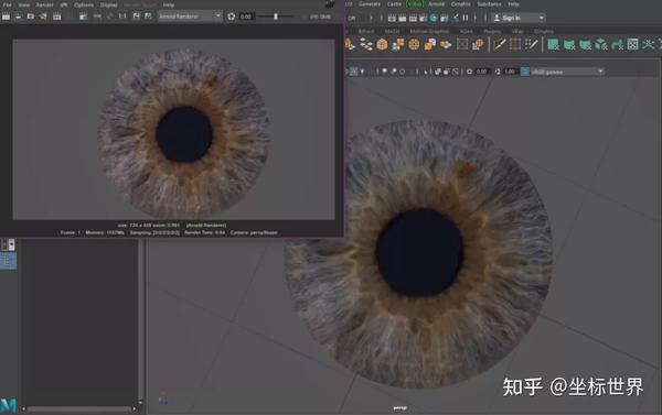 用Maya、Arnold制作渲染真实眼球【附贴图模型文件下载】 - 知乎