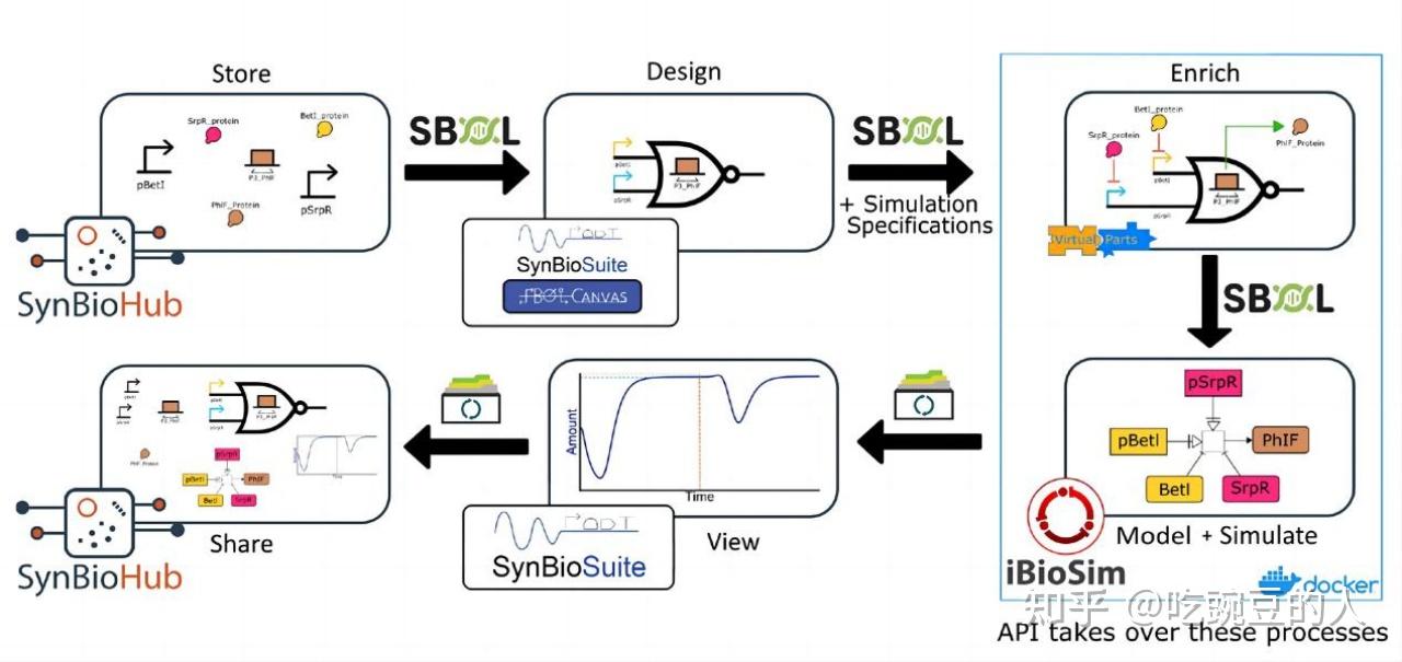 文献解读：SynBioSuite——一款改进基因设计和建模工作流程的工具 - 知乎