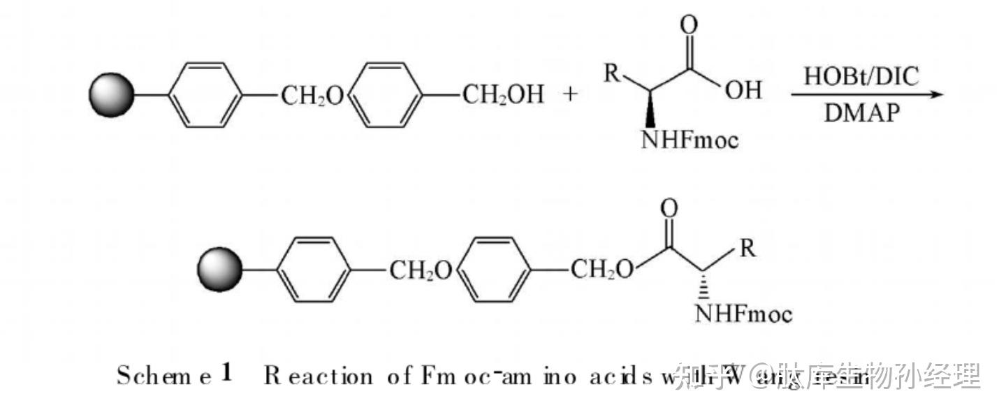 Fmoc保护氨基酸与Wang树脂的缩合反应 - 知乎