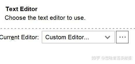 野路子解决vivado2024.2使用vscode打开无法去掉引号的bug - 知乎