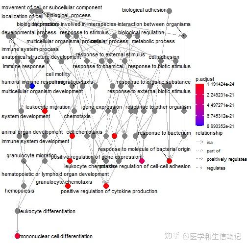 enrichplot富集分析可视化 - 知乎