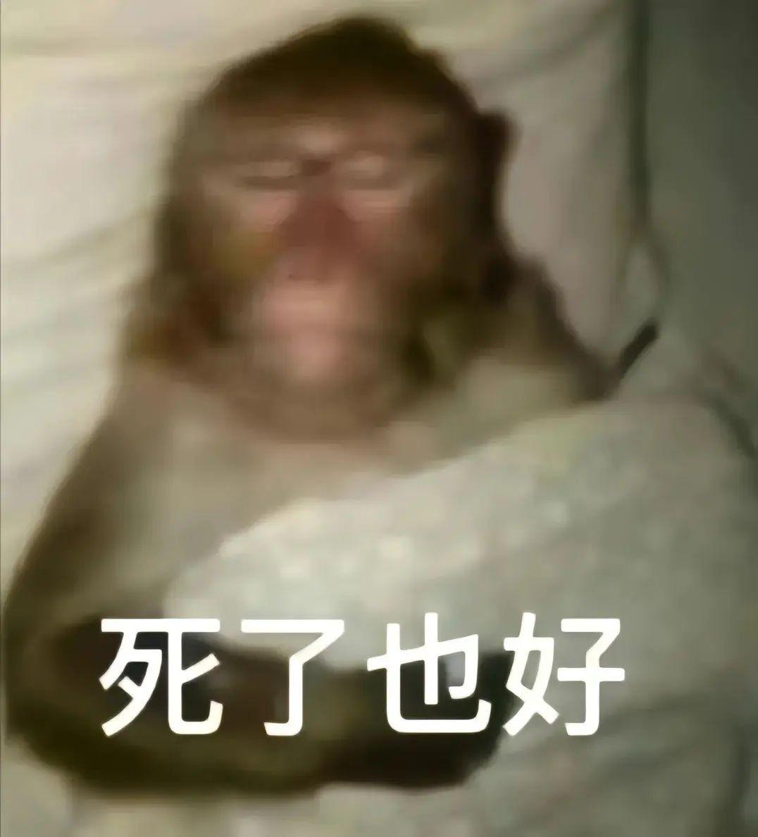 吗喽表情包、猴子表情包，高清无水印 - 知乎