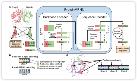 【蛋白质序列设计】Rosetta MPNN架构详解 - 知乎