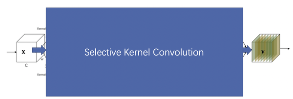 论文 Selective Kernel Networks（SKNet）解读 - 知乎