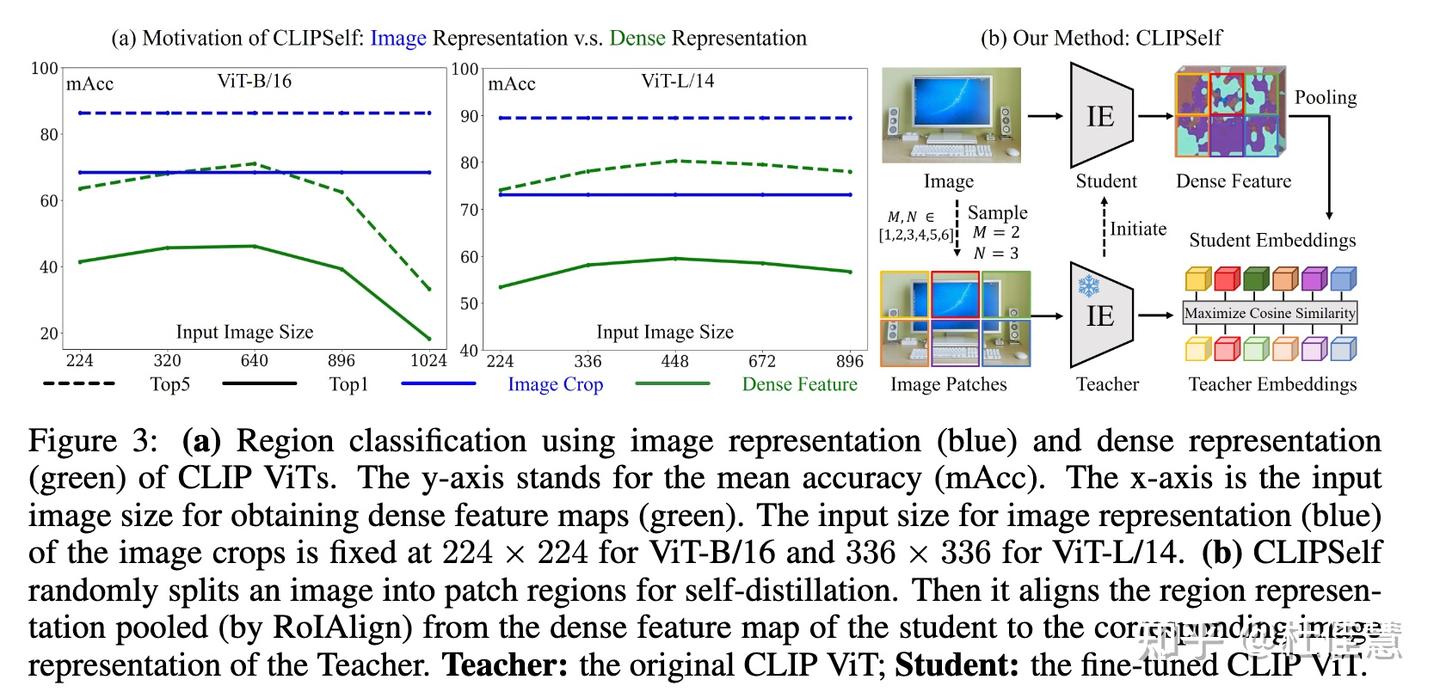 CLIPSELF: VISION TRANSFORMER DISTILLS ITSELF FOR OPEN-VOCABULARY DENSE ...
