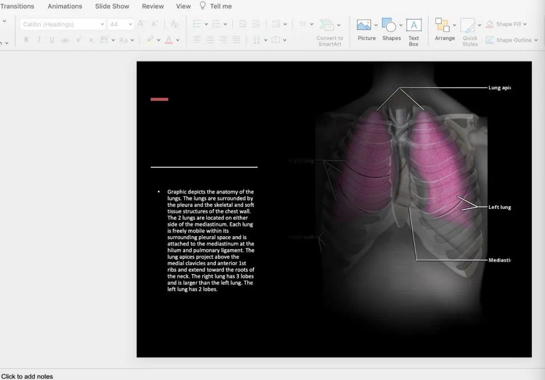 手把手教程：美国医生广泛好评的影像学工具STATdx用户指南 - 知乎